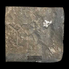 White House Piece with Stone Masons’ Marks - Scottish Rite of ...